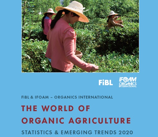 organic-world.net - PDF version of "The World of Organic Agriculture 2020"
